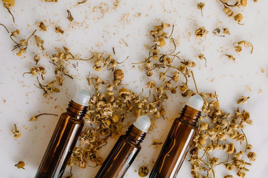 What Smells Do Bugs Hate? – Self Control Pest